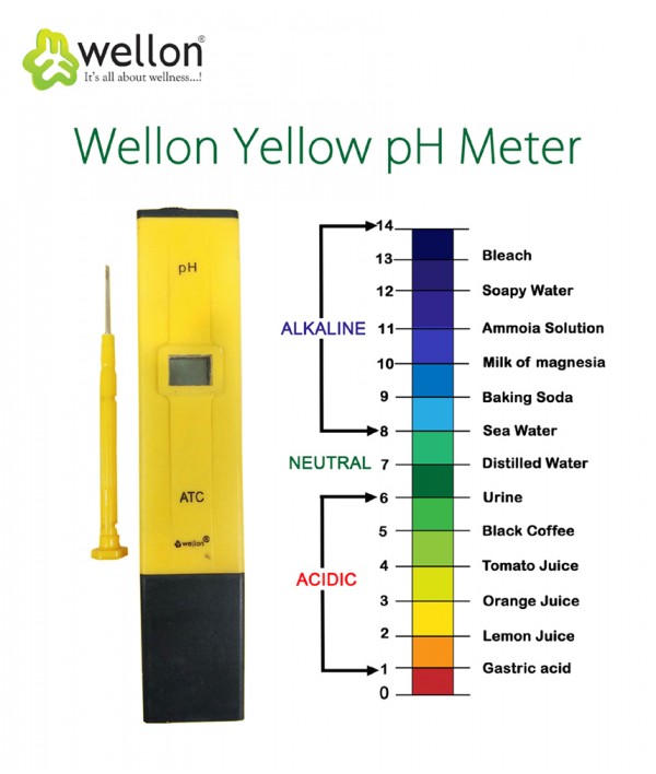 WELLON Digital LCD Pocket Pen Type Ph Meter for Water Purity Pool ...