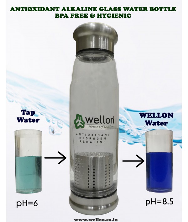 ANTIOXIDANT Alkaline Glass Water Bottle BPA Free & HYGIENIC 650 ml (Silver)