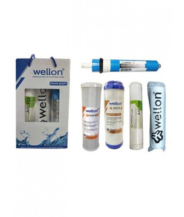 WELLON 10 INCH (80 GPD Membrane + 10" PP + Inline Set) for All Type of ...