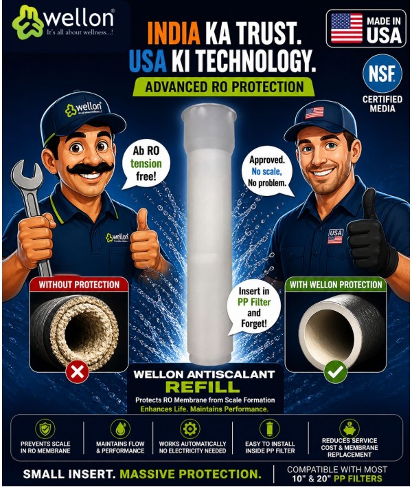 WELLON 250 LPH RO SYSTEM