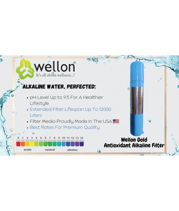 Wellon Gold Antioxidant Alkaline Filter (New) - 1