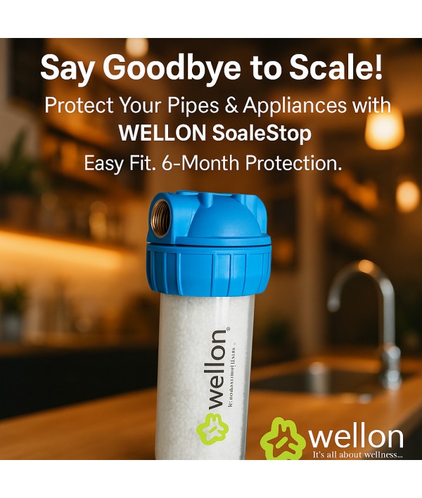 WELLON ScaleStop 10" Housing with Polyphosphate Crystals.